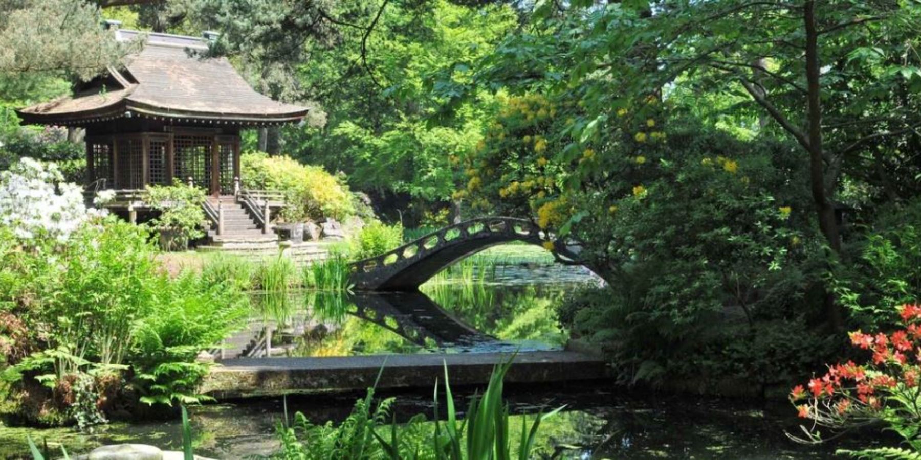 Arley Hall & Gardens - All YOU need to know ahead of a visit!