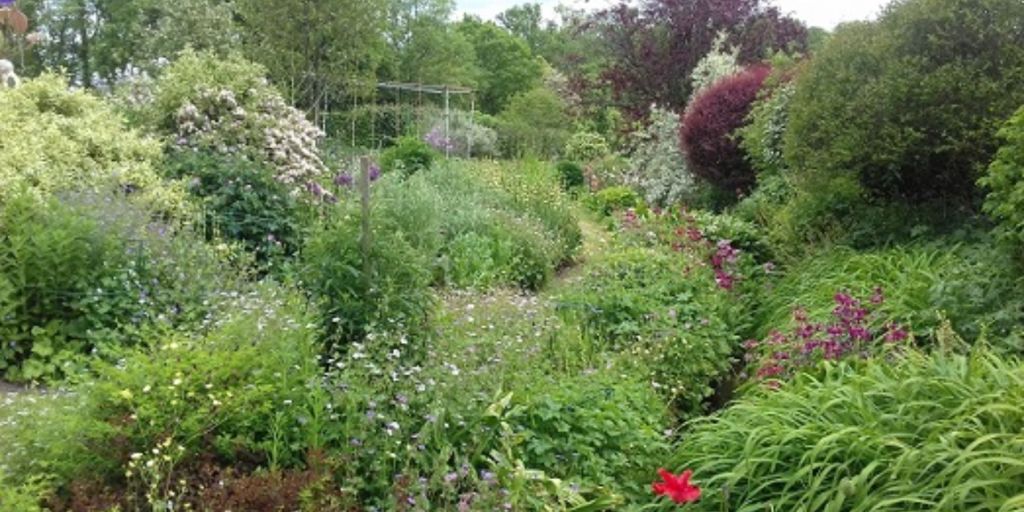 Talaton Open Gardens - open gardens in Devon
