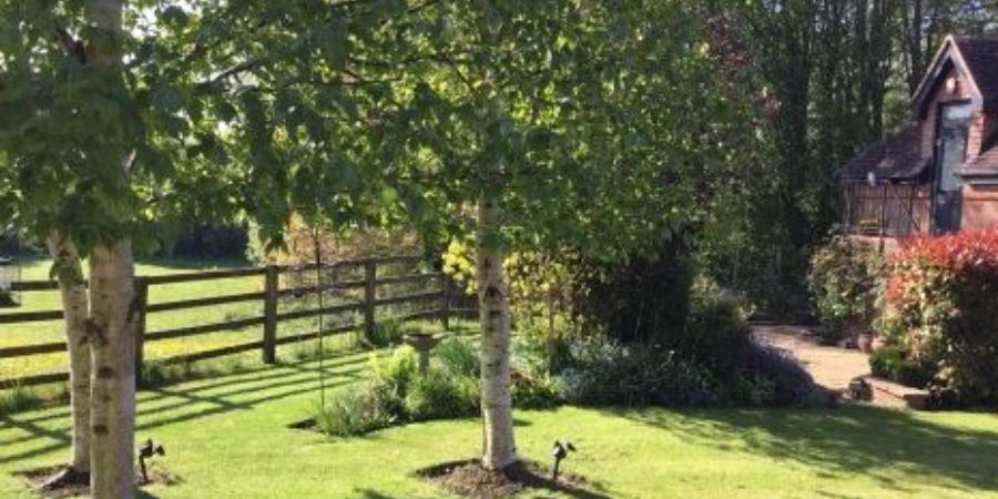 Soulbury Village Open Gardens - Visitor Information
