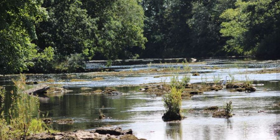 West Tanfield Open Gardens - Gardens & Visitor Information