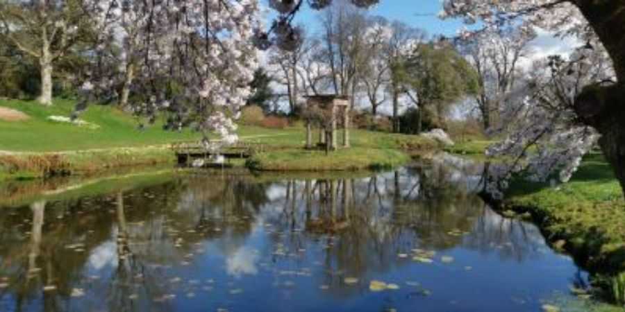 Cholmondeley Castle Gardens - visitor & Gardens Information.