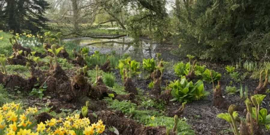 Great Dixter Gardens - Latest Visitor & Garden Information