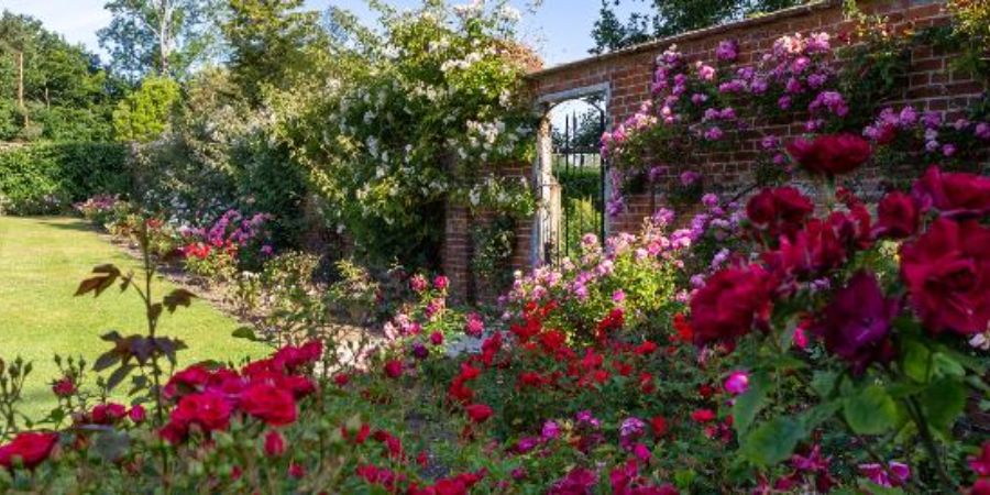 Mannington Hall Gardens - Visitor & Gardens Information