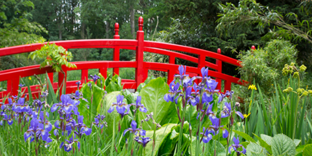 Gatton Park - Visiting? All YOU need to know!