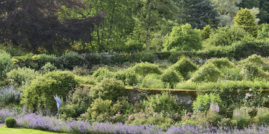 Carolside Gardens - All you need to know before you visit! Super Gardens