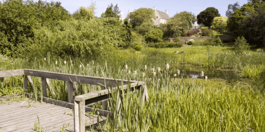 Inveresk Lodge Garden - Super Gardens