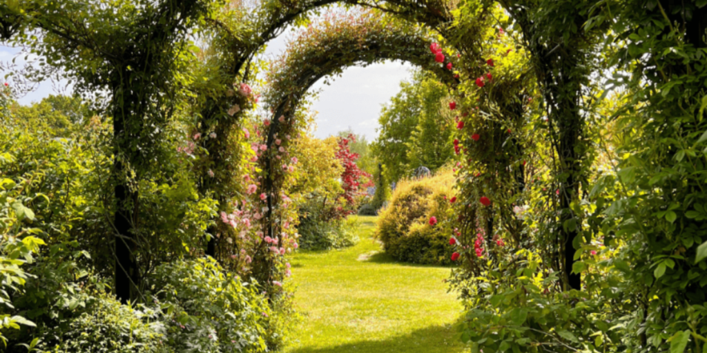Peter Beales Roses - Visitor Information