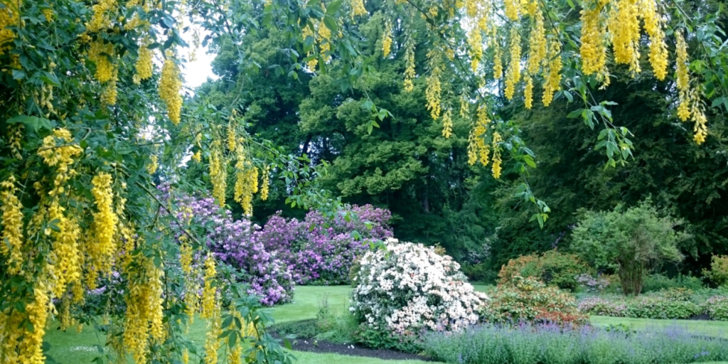 Scone Palace Gardens- Key visitor Information