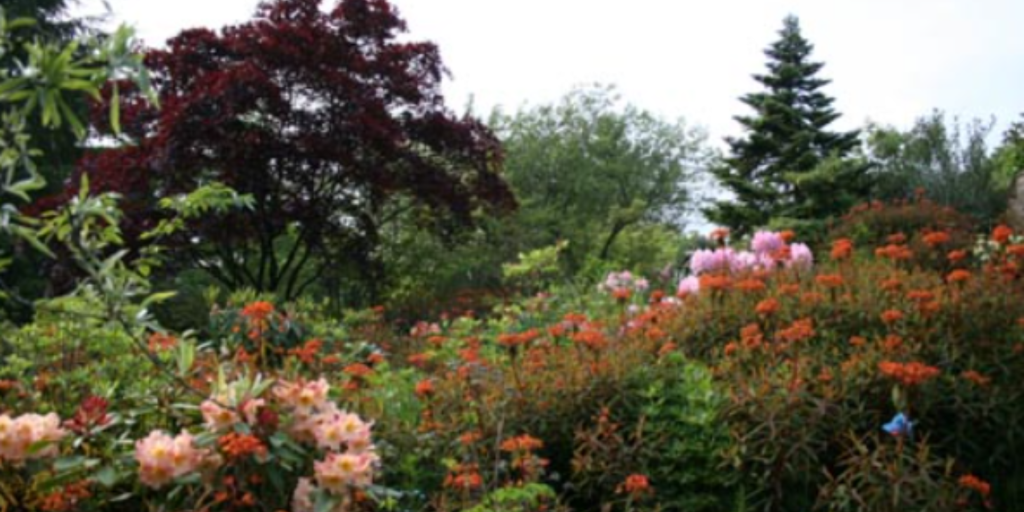 Dunge Valley Gardens - Visitor Information