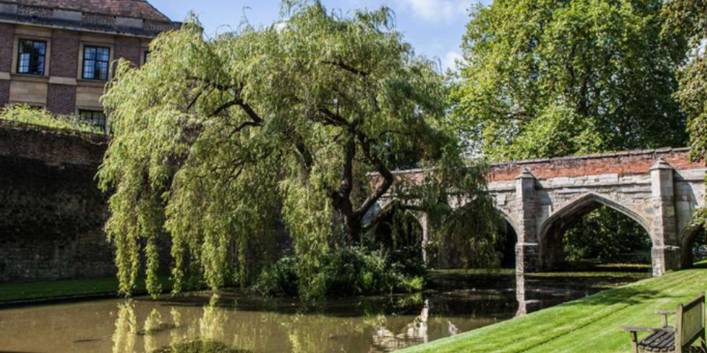 Eltham Palace Gardens - Visitor Information, London Garden