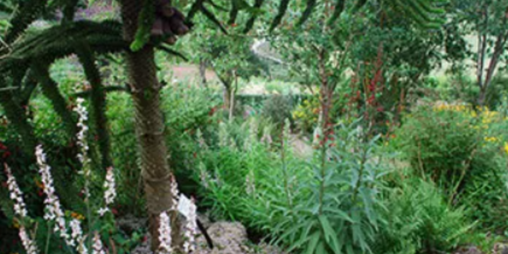Plant World Gardens - Visitor Information, Gardens of the World, Cafe ...