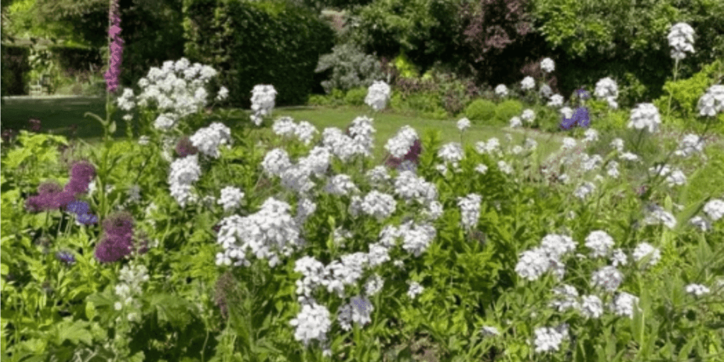 Close Cottage Garden - Visitor Information, Garden Visits