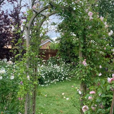 Bassingham Open Gardens and Scarecrows - 7th June 2026