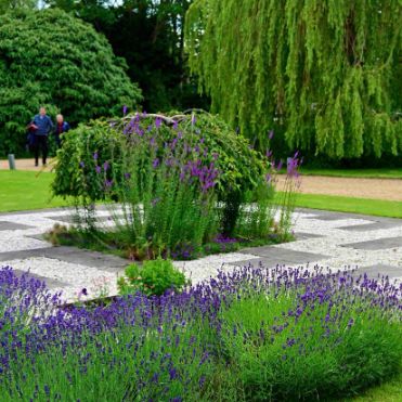 Histon and Impington Open Gardens - 14th June 2026